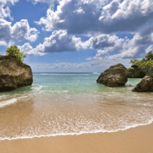 Summer Overview - ARCC