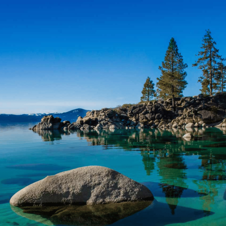 Summer Overview - ARCC