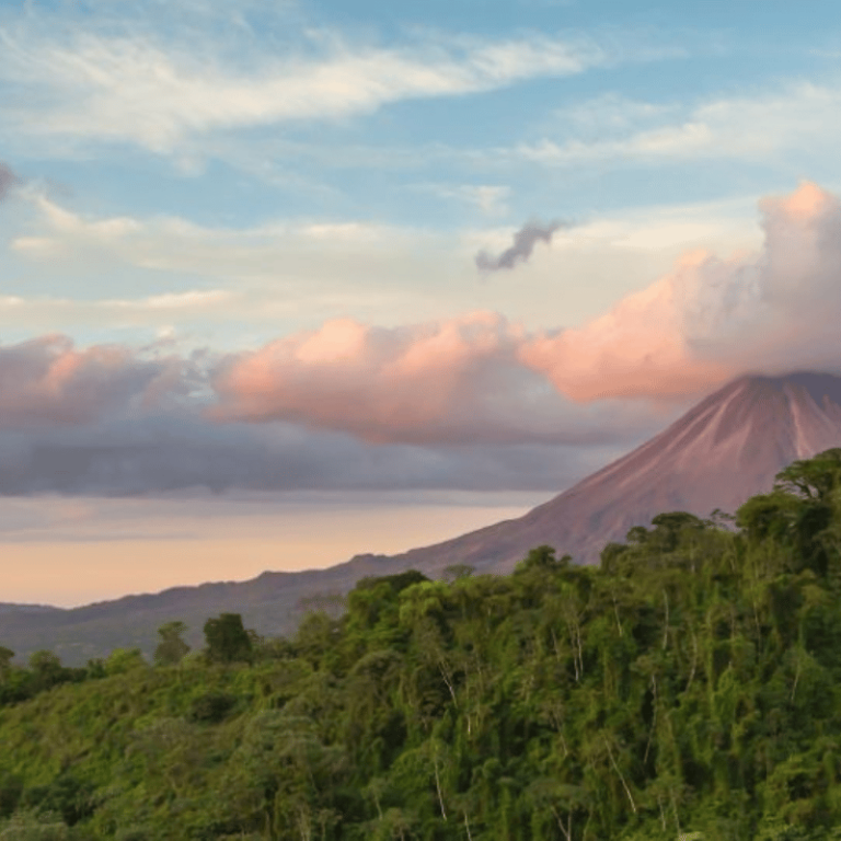 Summer Overview - ARCC