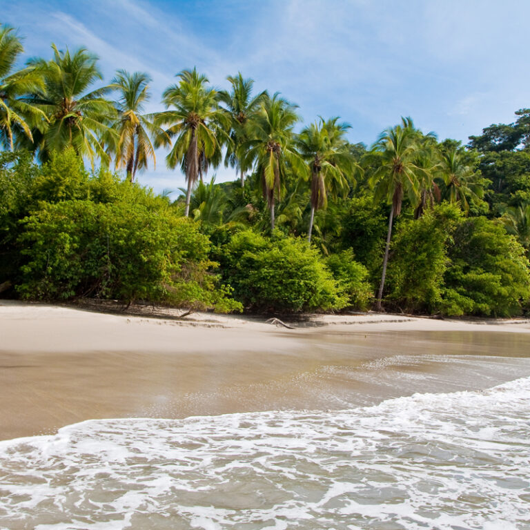 Summer Overview - ARCC