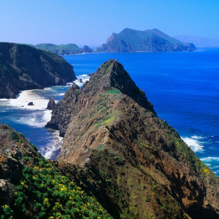 Summer Overview - ARCC